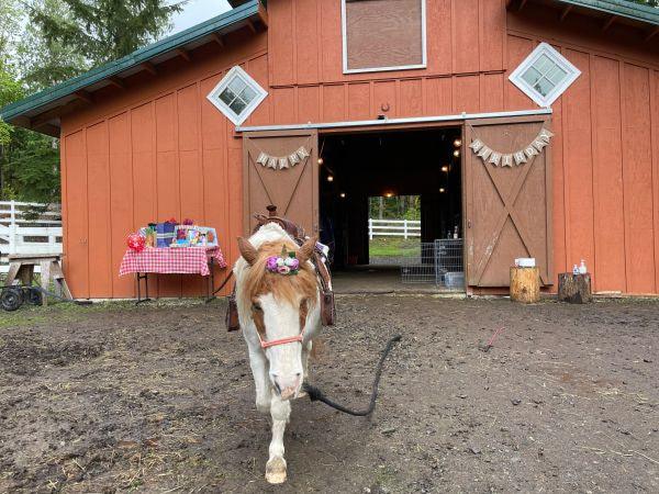 Fancy Farm Birthday Parties – Confetti Kate